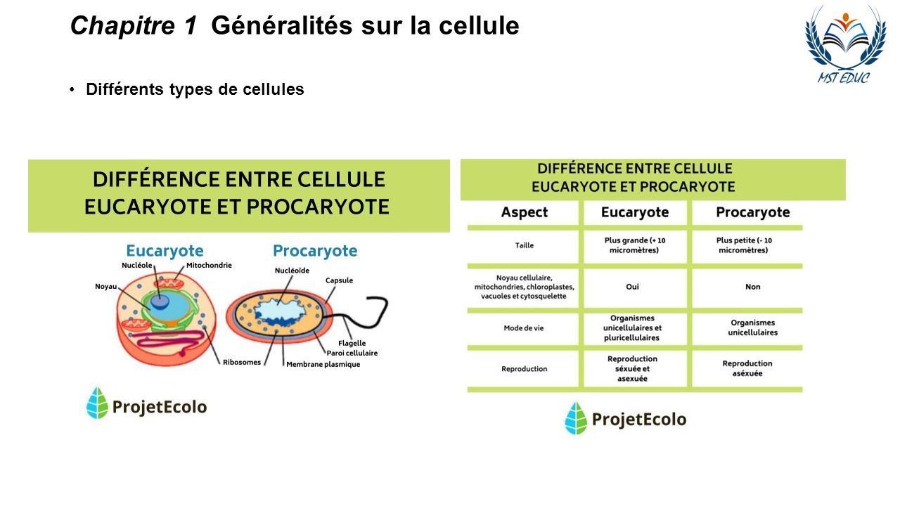 Biologie Cellulaire Ppt Télécharger